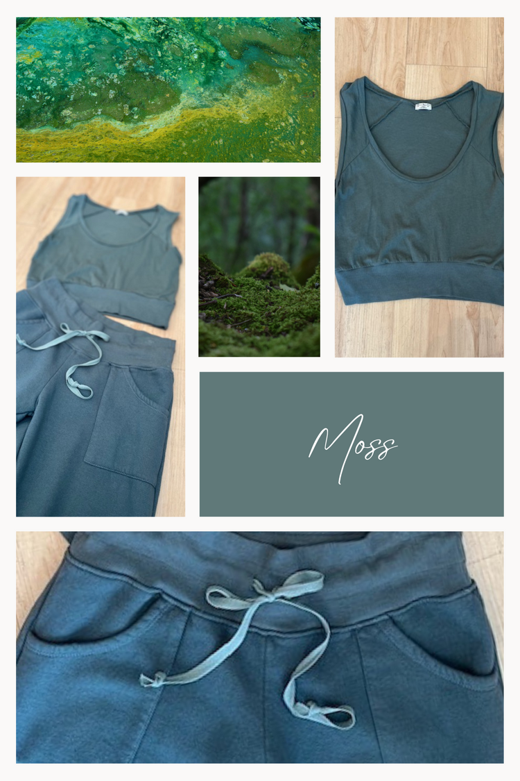DINO Apparel | Buttery-soft Athleisiure, made Ethically & Sustainably ...